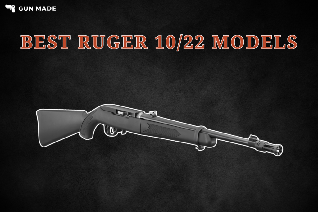 4 Best Ruger 10/22 Models [2025]: Hunting, Competition, & More