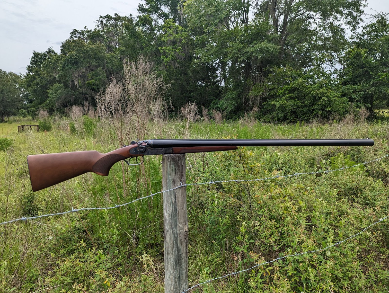 CZ Hammer Classic Review: Banging Hammers With A Classic