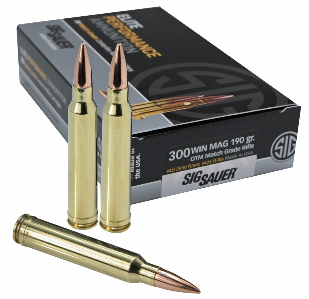 .300 Win Mag vs .308 Winchester: Which Is Right for You?