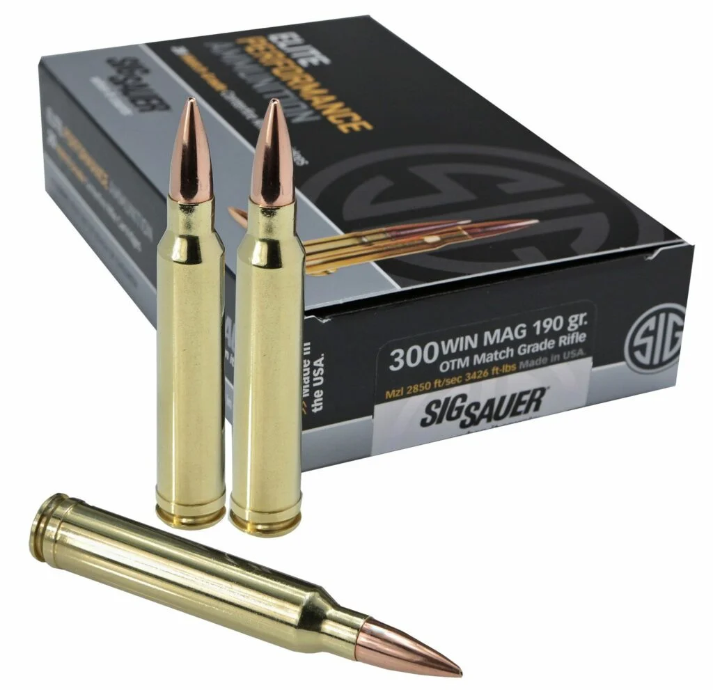.300 Win Mag vs .308 Winchester: Which Is Right for You?