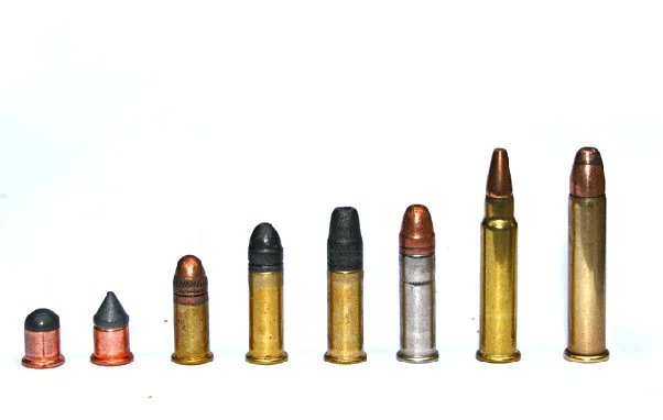 .22LR vs. .223: Same Diameter But Much Different Purpose